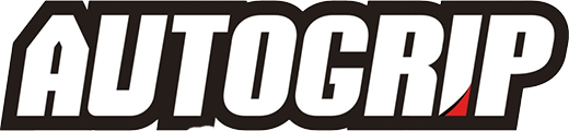Autogrip P308 195/55r15